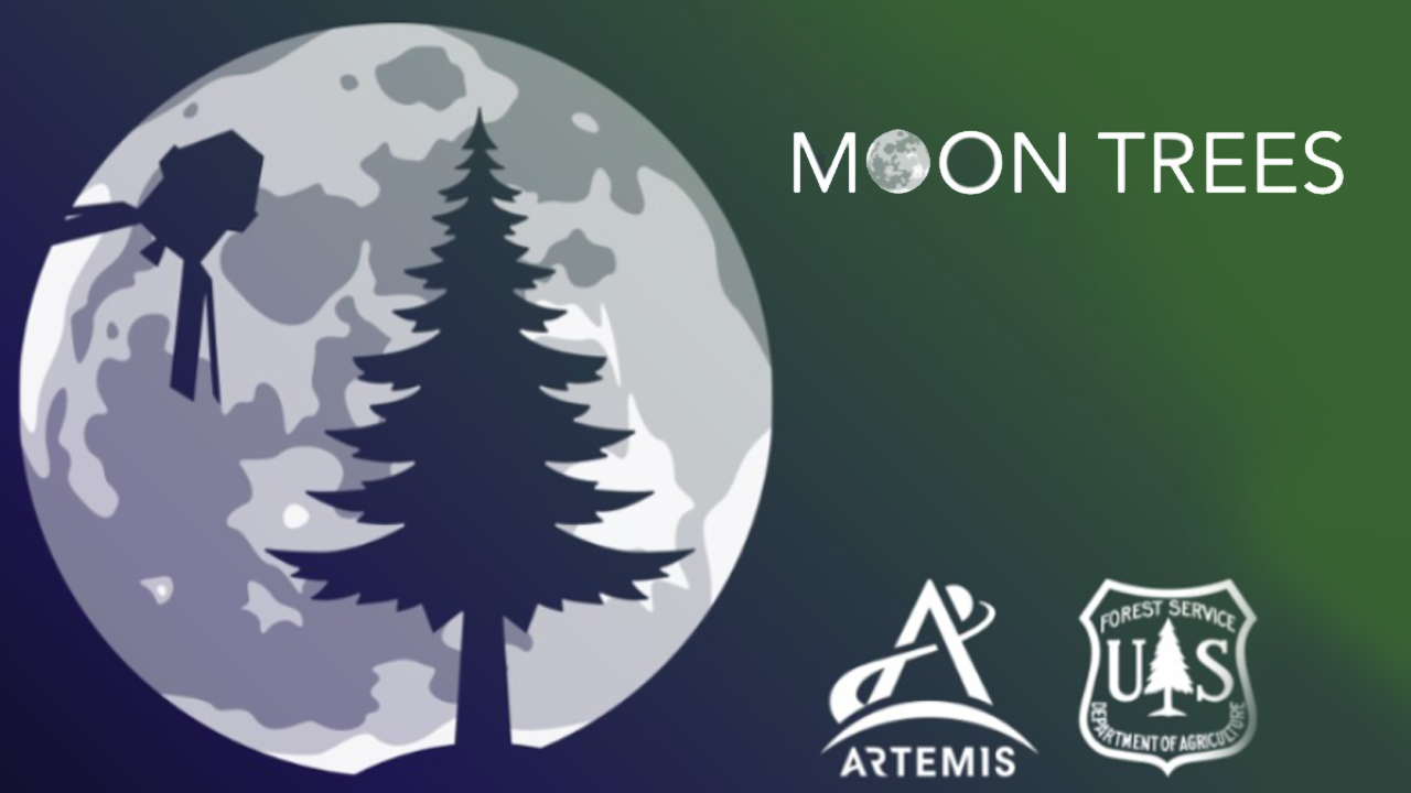 Moon Trees